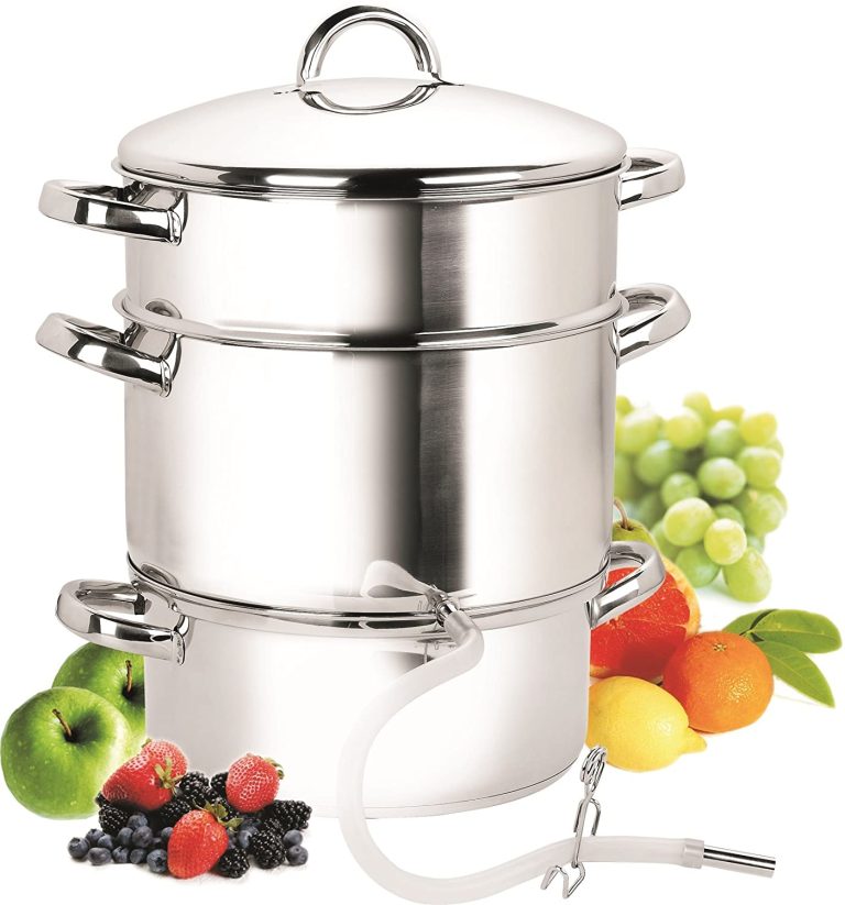 Homemade Plum Syrup Recipe - Clever Housewife
