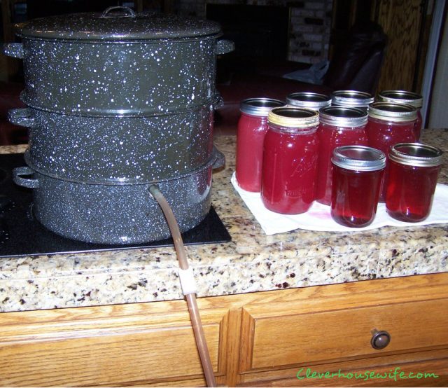 Homemade Plum Syrup Recipe - Clever Housewife
