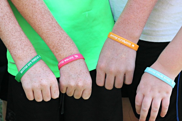 Buy a Bracelet, Save Endangered Animals - Clever Housewife