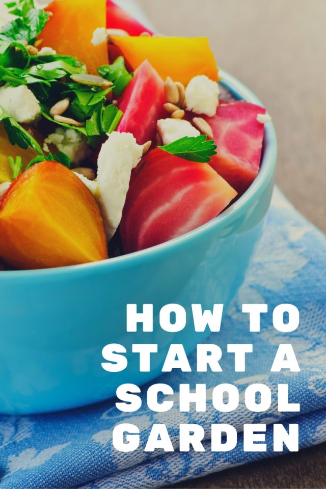 Why and How to Start a School Garden at Your Child's School - Clever ...