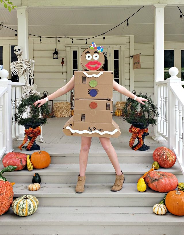 DIY Gingerbread Woman Costume from Boxes - Clever Housewife