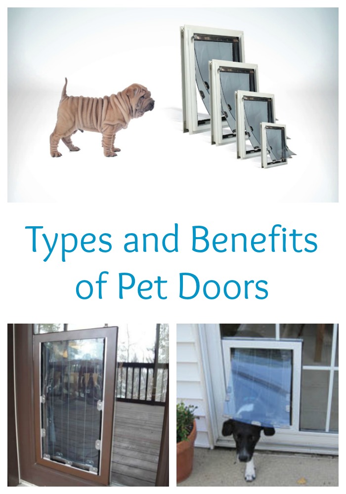 Types and Benefits of Pet Doors - Clever Housewife