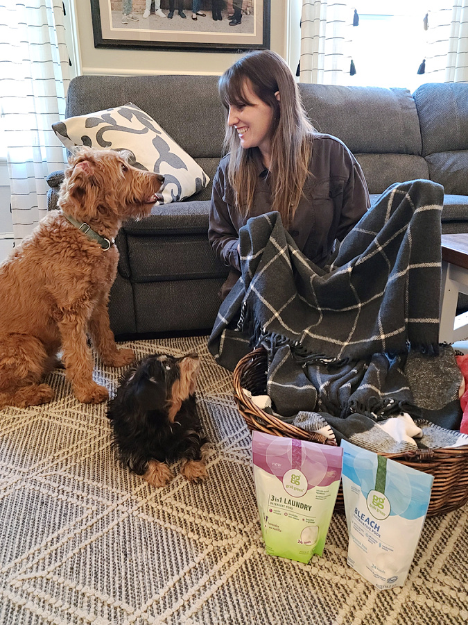 Fall Cleaning Checklist to Prep for the Holidays - Clever Housewife
